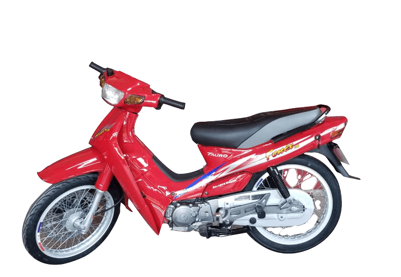 FÉNIX 105MD - Inversiones Nacho